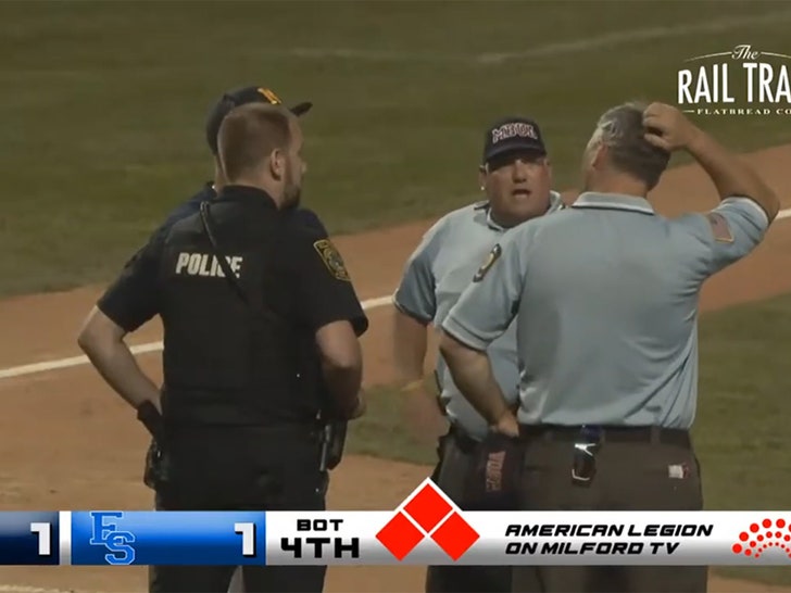 Youth Baseball Players, Fans Brawl During Playoff Game, Cops Investigating