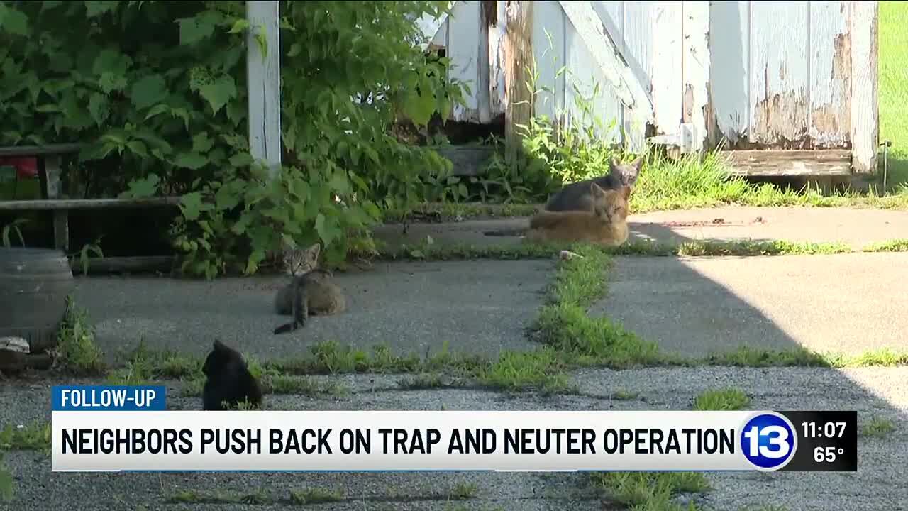 Neighbors pushing back on Toledo woman’s efforts to trap, neuter, and ...