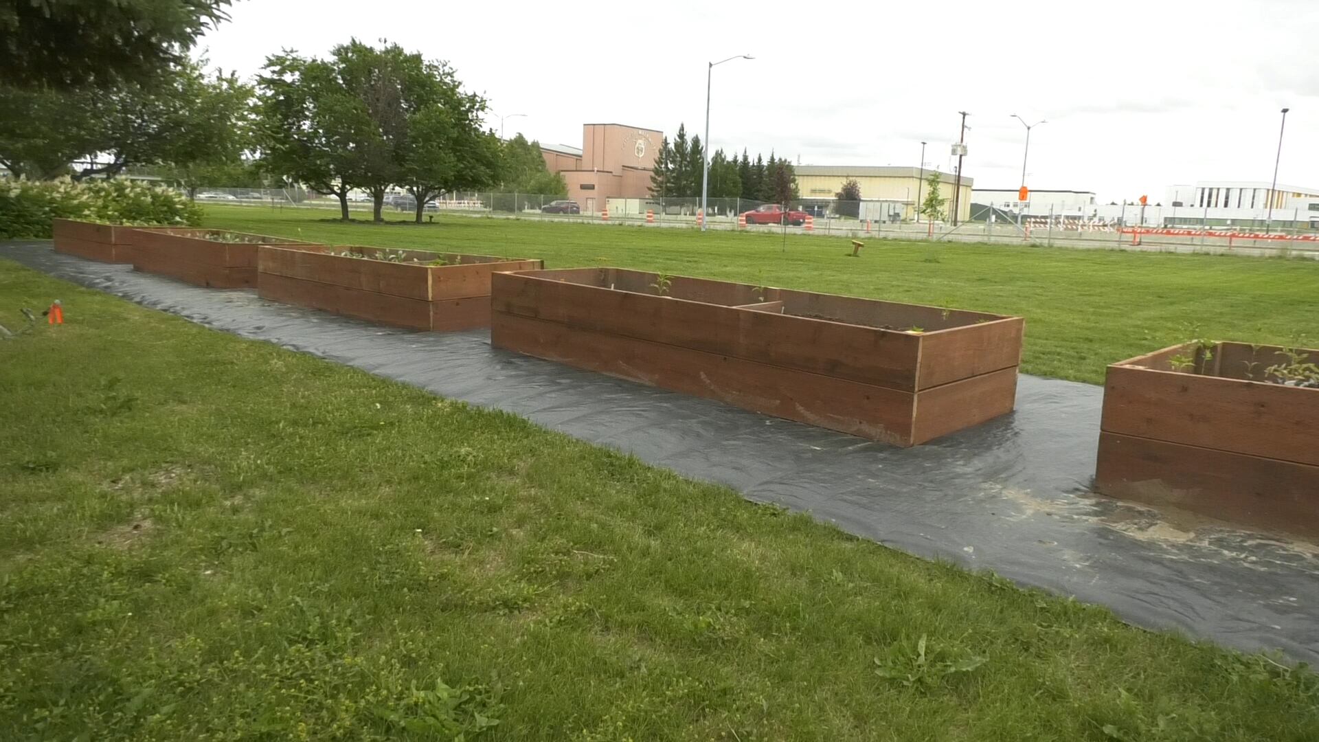 Arctic Gardens: Fairbanks library hosts garden beds for community learning