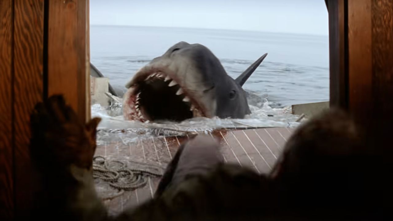 Shark Week Expert Weighs In On Jaws As ‘One Of The Best Movies Ever ...
