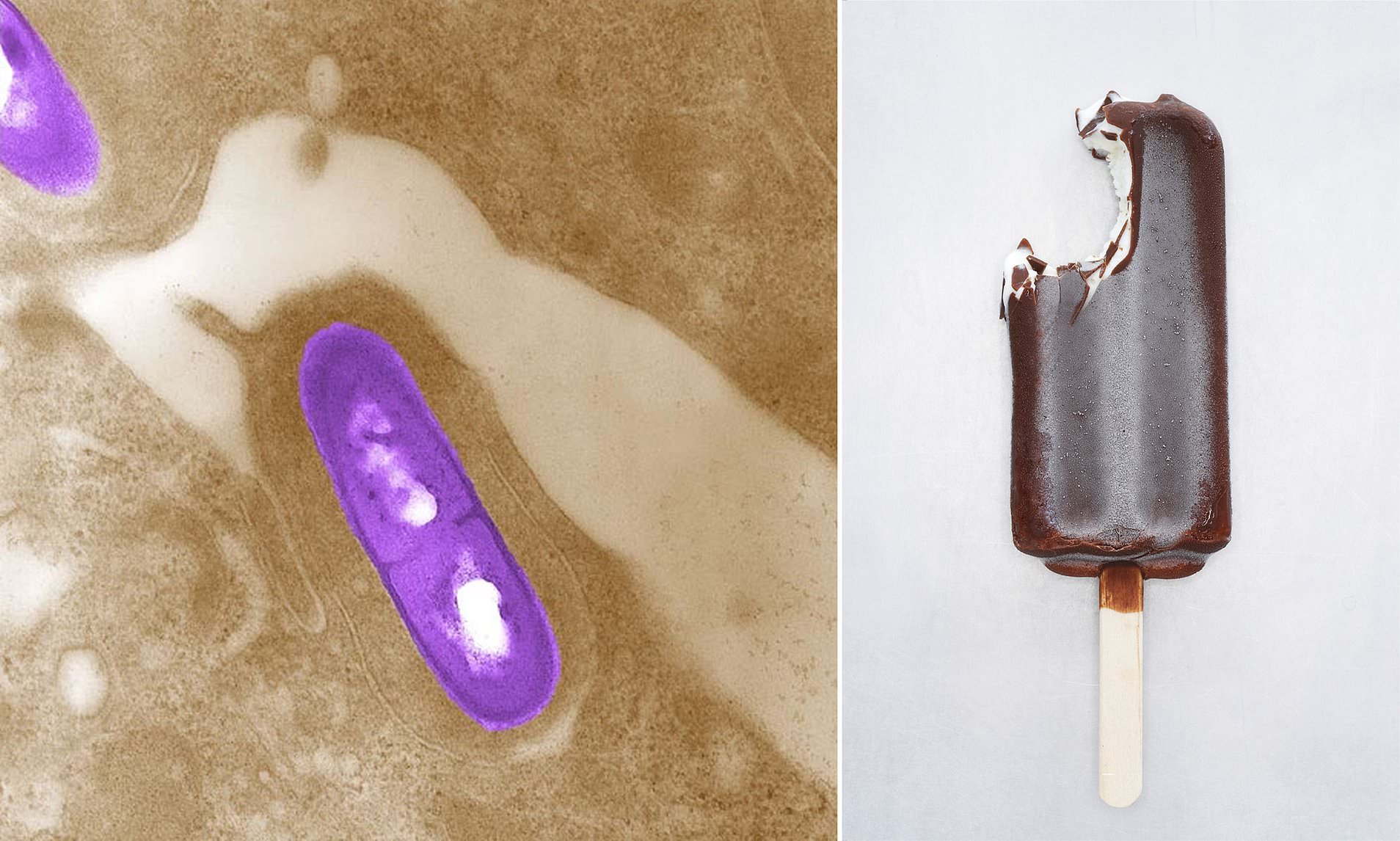 Ice cream bars in 23 states are recalled over contamination