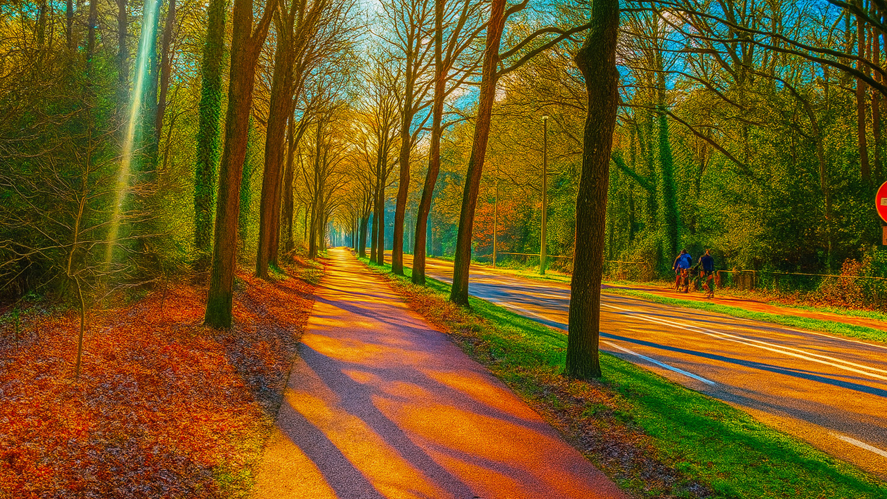 Promenade à Mierlo, Pays-Bas – Visite d’une charmante ville néerlandaise
