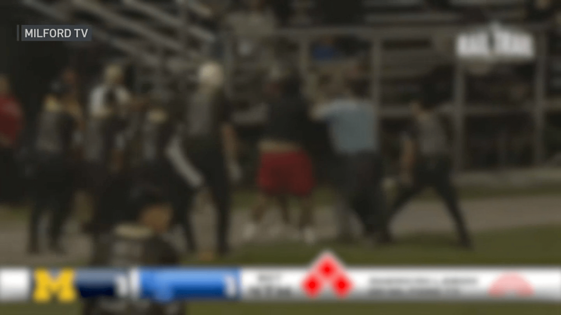 2 youths charged after brawl at Milford baseball game