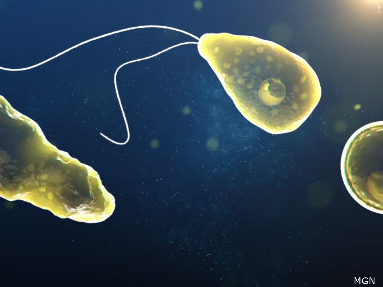 Patient exposure to fatal brain-eating amoeba happened at Midlands lake