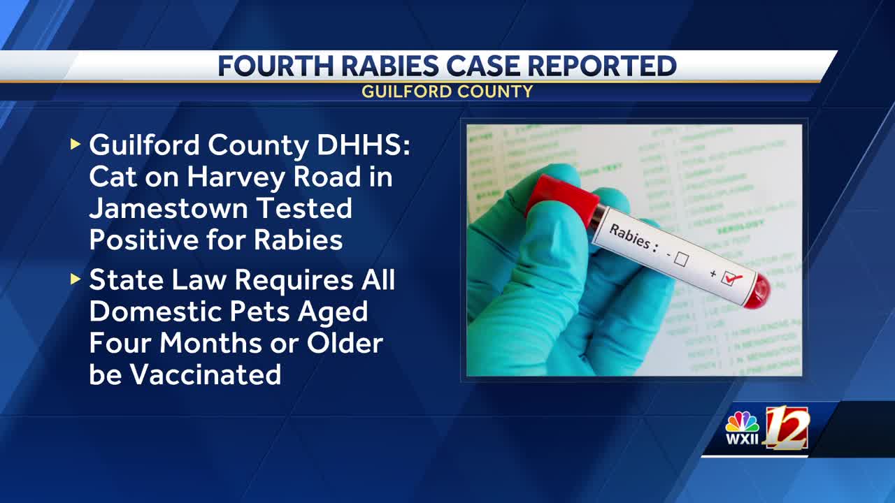 Guilford County health officials report 4th rabies case of 2025