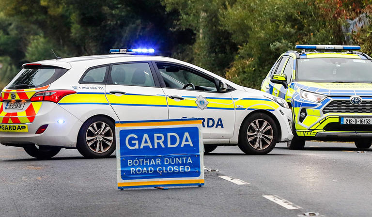 ‘It’s not your story to tell’ – Irish road victims group calls for end ...