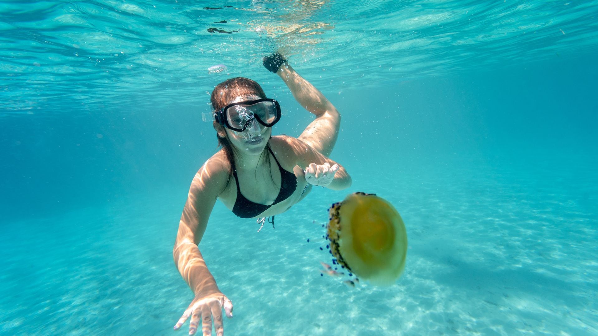 Cómo curar la picadura de medusa: síntomas y tratamiento