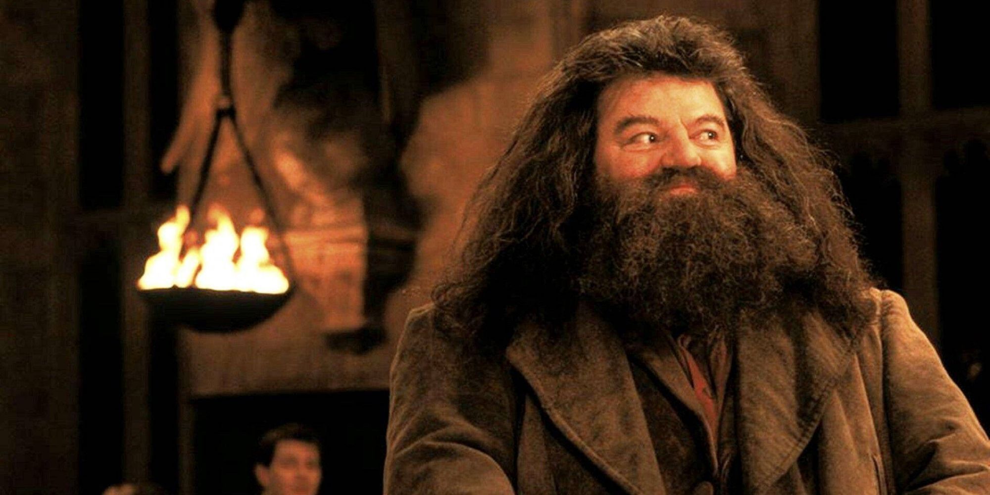 Harry Potter's New Hagrid Response Is A Perfect Example Of The HBO ...
