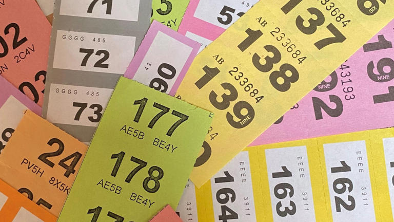 Kerala Lottery Results LIVE Today, December 17, 2025: DHANALEKSHMI DL ...