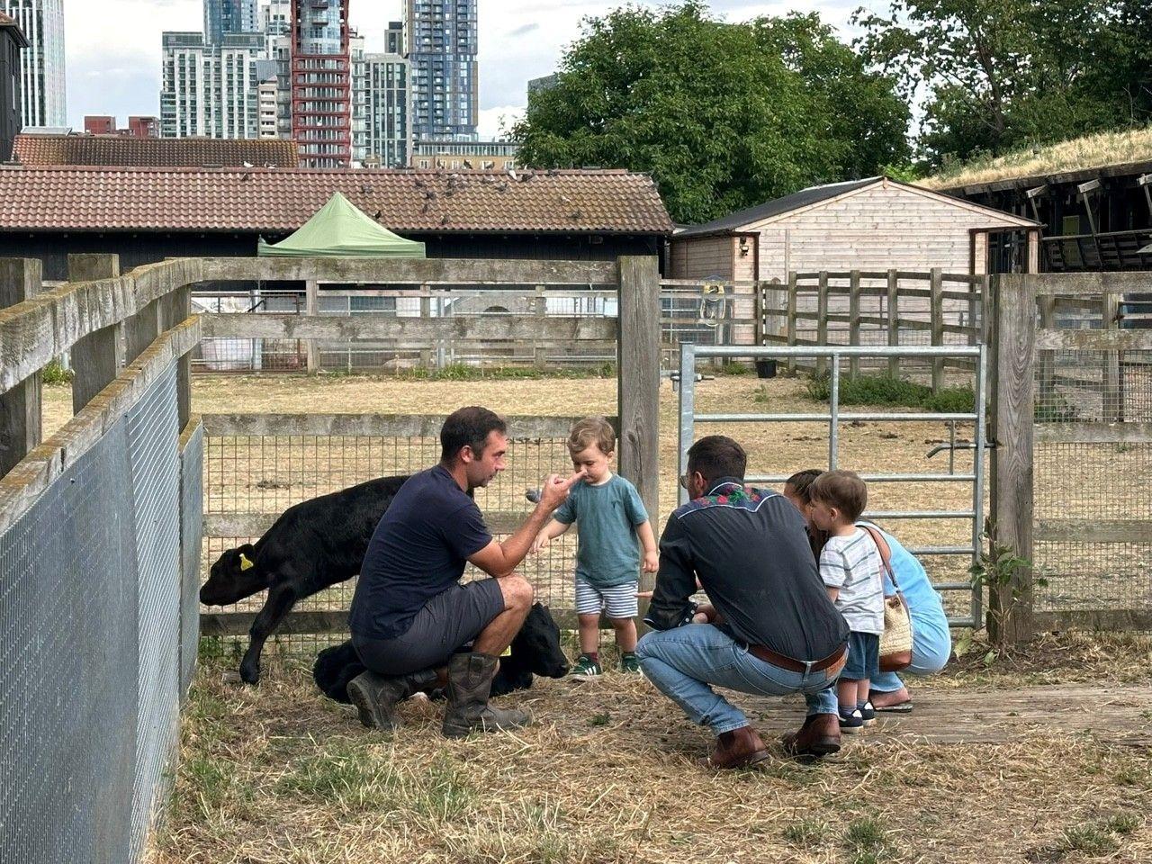 Celebrating 50 years of Surrey Docks Farm