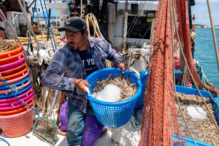 A ban nearly crushed NC shrimpers. Why they embrace the life they fight ...