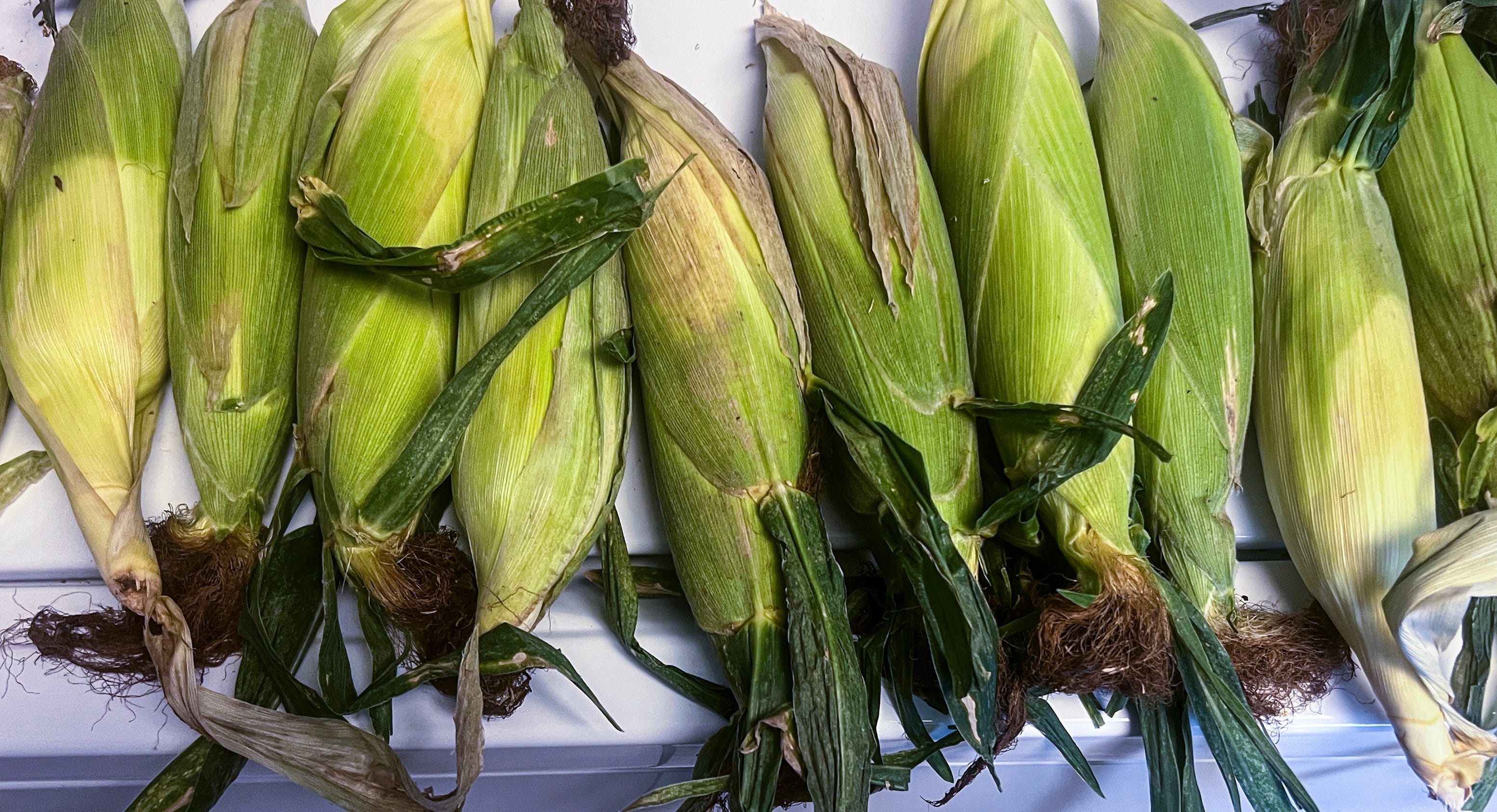 What is 'corn sweat,' and does it affect Midwest humidity?