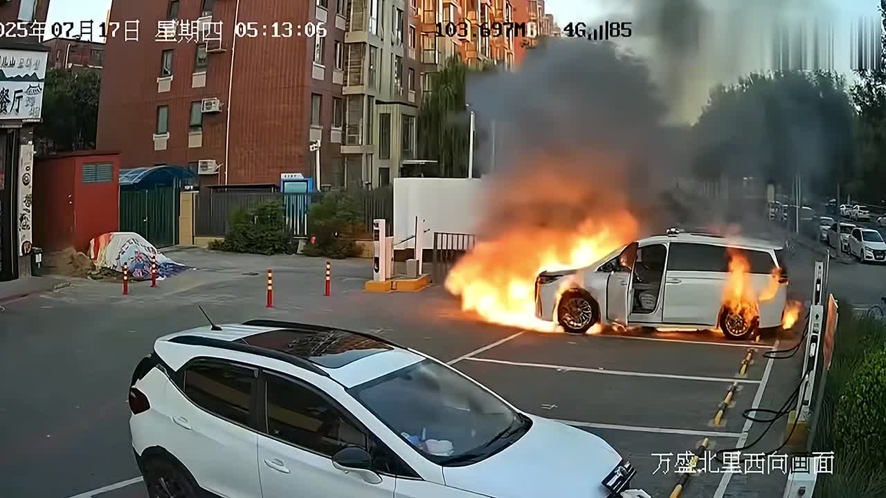Driver flees as electric vehicle suddenly bursts into flames whilst ...