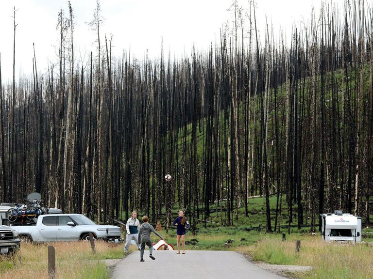 Wednesday's letters: No apology needed for Jasper fire report