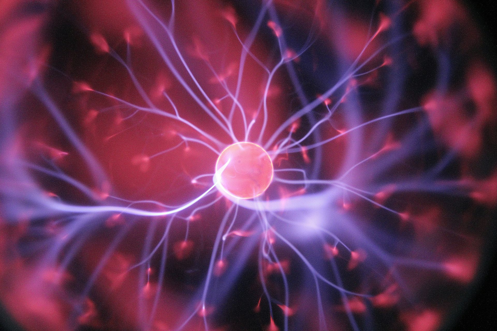 Scientists create a ‘living computer’ made from human brain cells