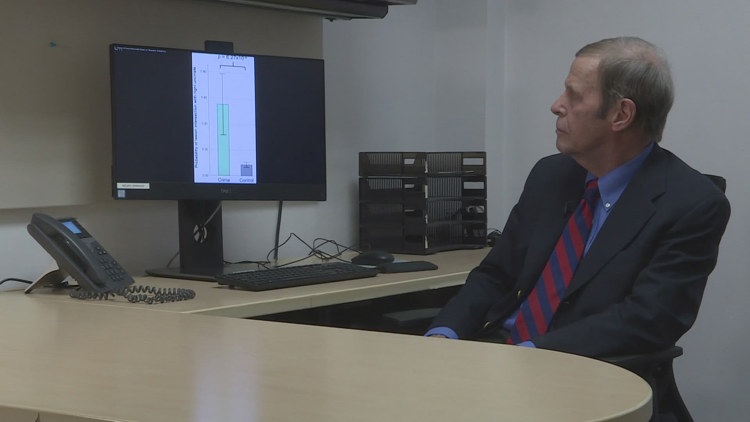 Researcher identifies link between brain damage, criminal behavior in ...