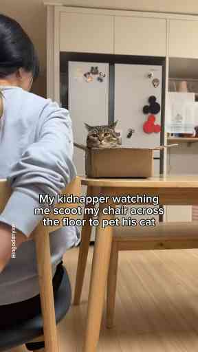 Forget Everything Else — This Cat Deserves All the Pets