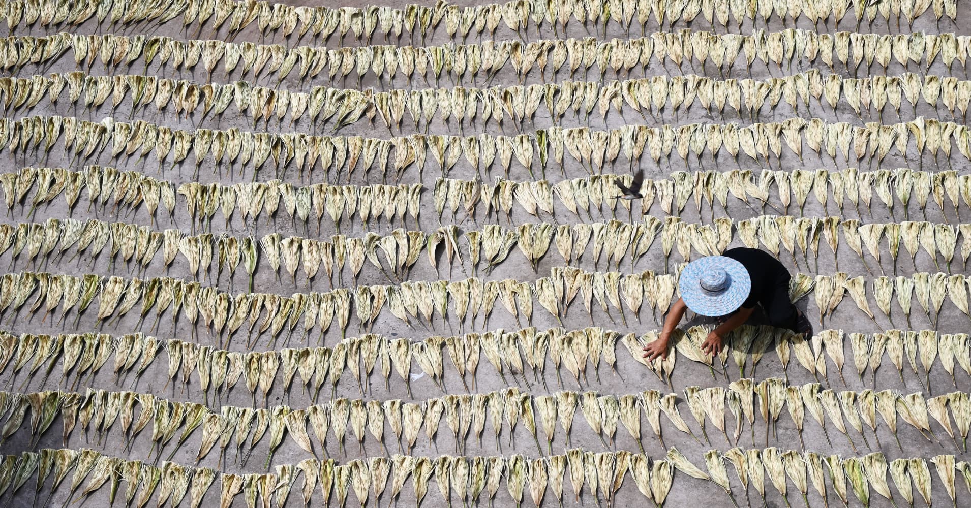 CNBC's The China Connection newsletter: Beijing has more to worry about ...