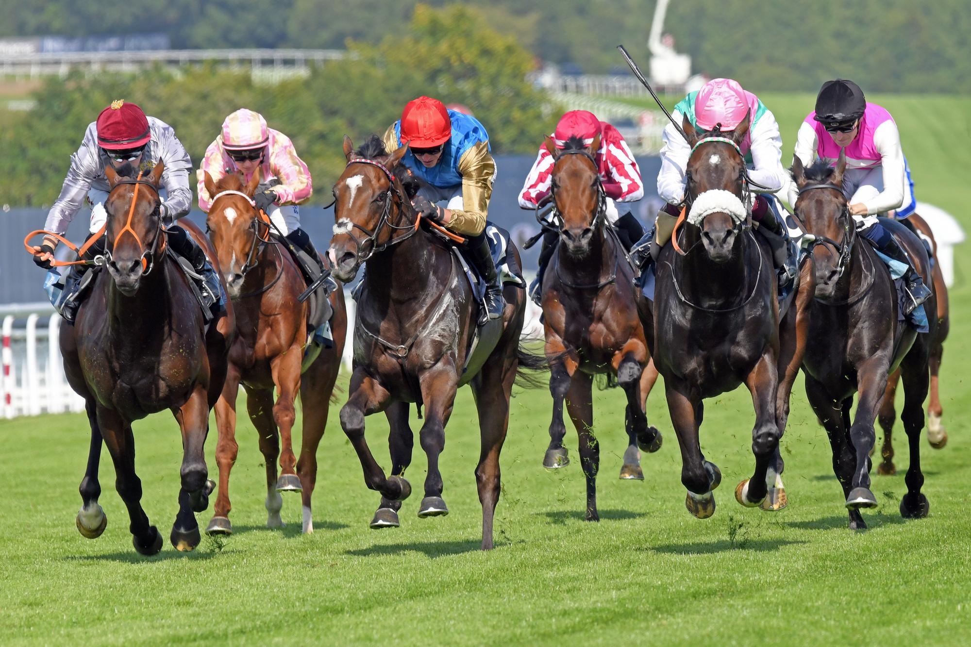 Glorious Goodwood 2025: All the Qatar Goodwood Festival runners, riders ...