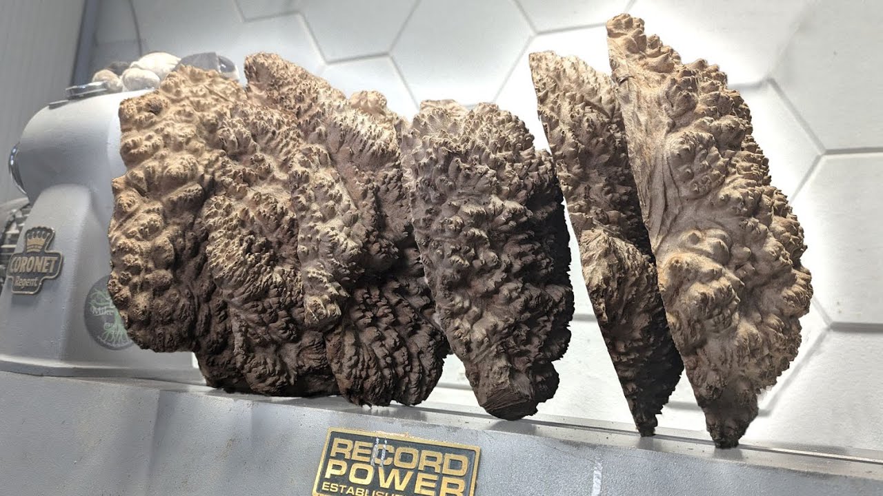 How craftsmanship transformed a raw burl into timeless art