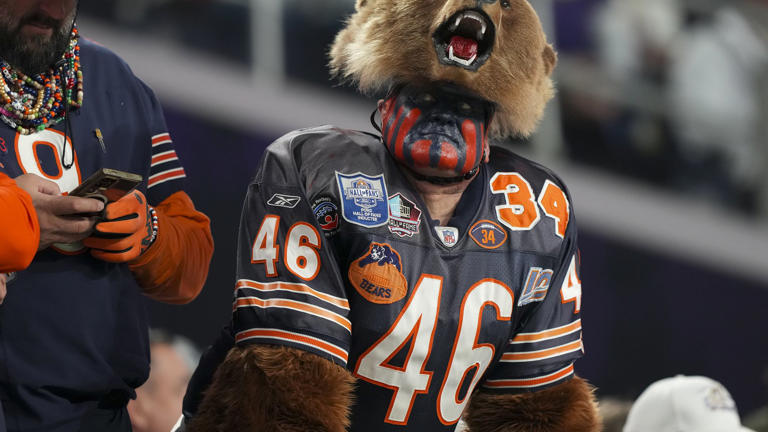 What advice would you give a new fan of the Chicago Bears?
