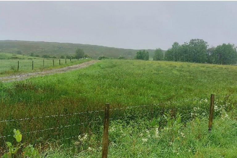 'Real teeth' claim made as Darwen travellers’ site injunction ruling made