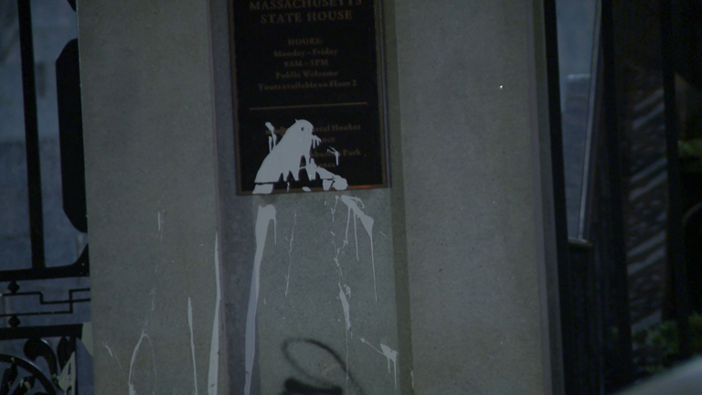 Member of pro-Palestinian group charged in State House vandalism ...