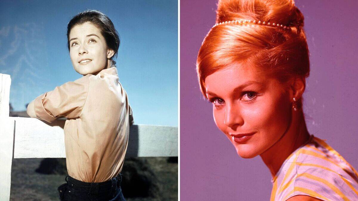 Actresses In The 1960S 60 Photos - Moonagedaydream.film