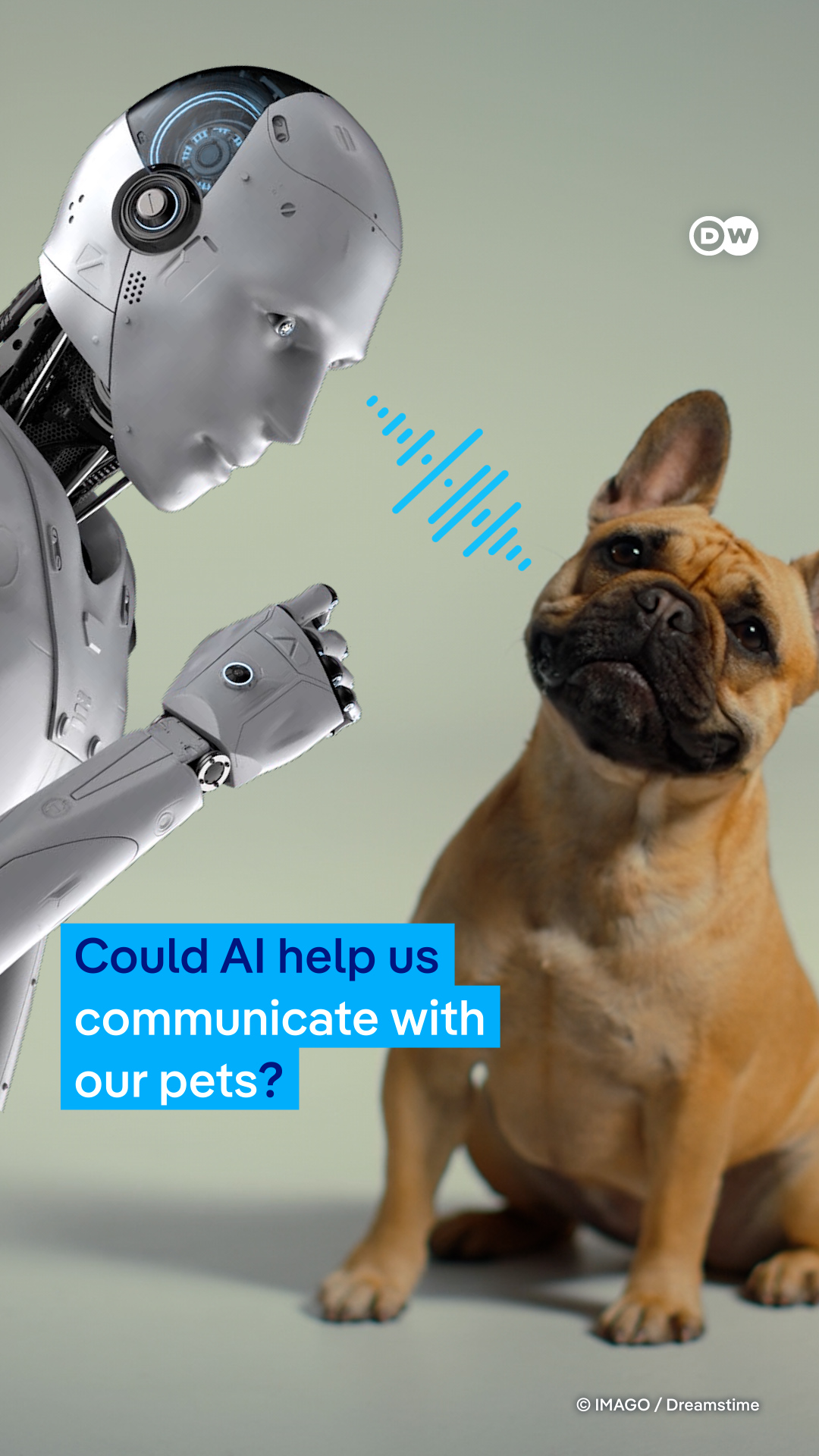 Can AI help us speak to animals?