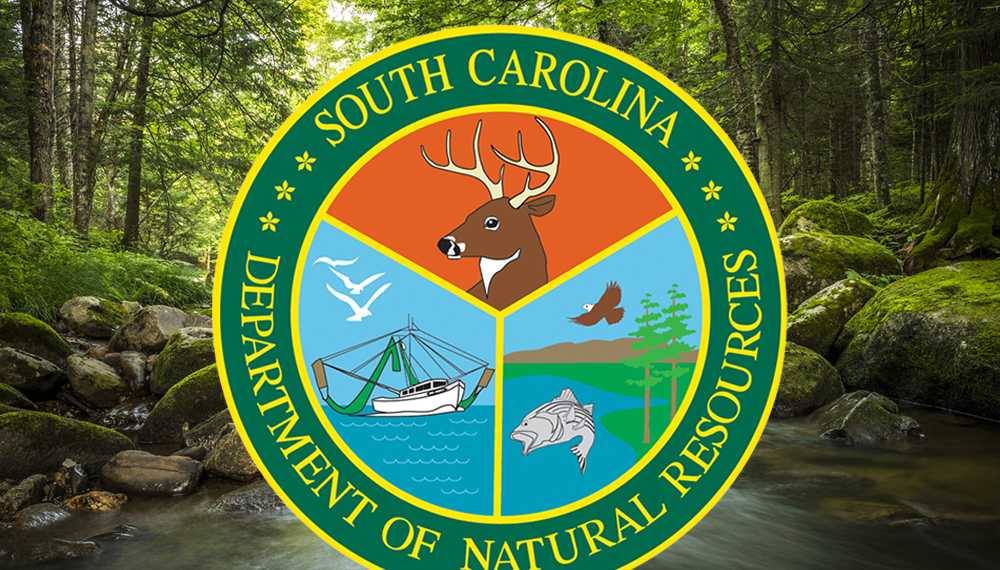 South Carolina makes first arrest under new abandoned boat law