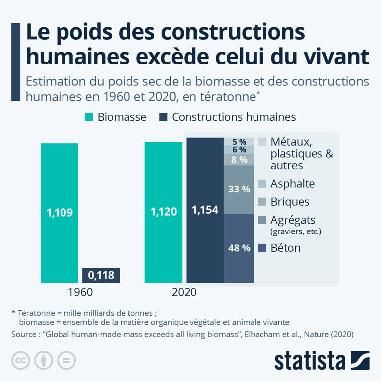 Le poids des constructions humaines excède celui du monde vivant