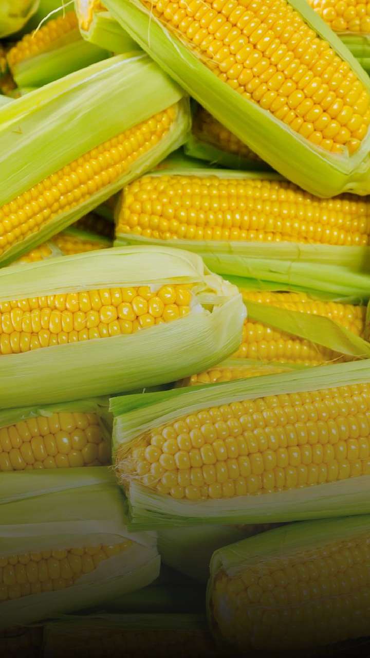 5 Sweet Corn Recipes To Satisfy Your Monsoon Cravings