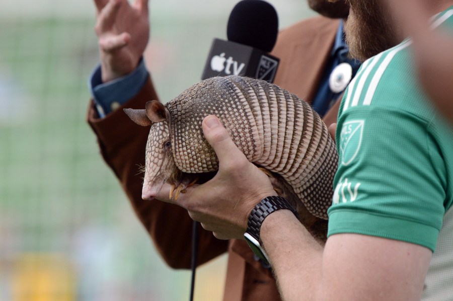 From Speedbump to Quesadillo: Armadillo racing is keeping Austin weird