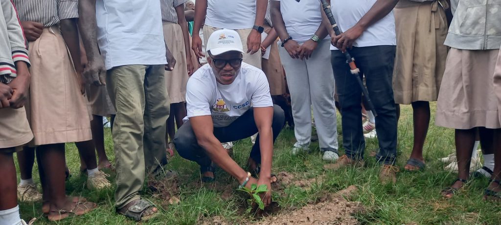 NGO plants trees with learners of Gbi-Kpoeta M/A Basic School