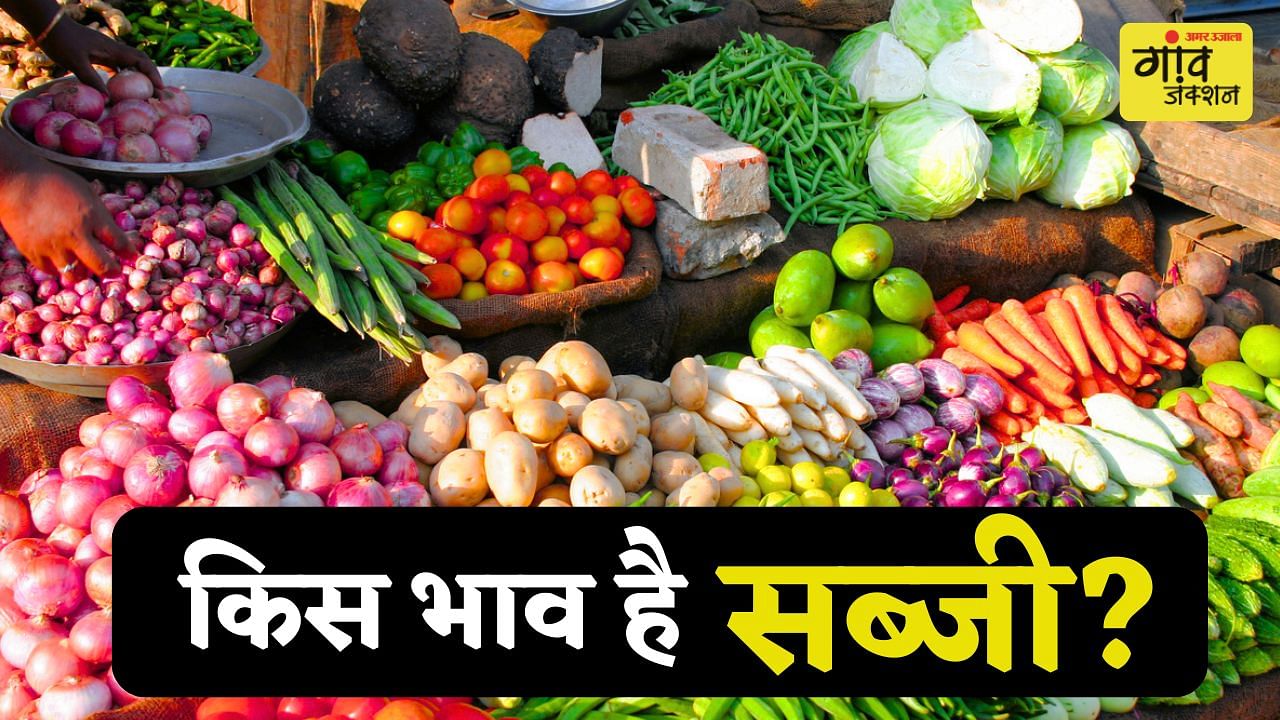 Sabzi mandi rate 28 April: नोएडा मंडी में ₹1300 रहा प्याज का भाव, आगरा ...