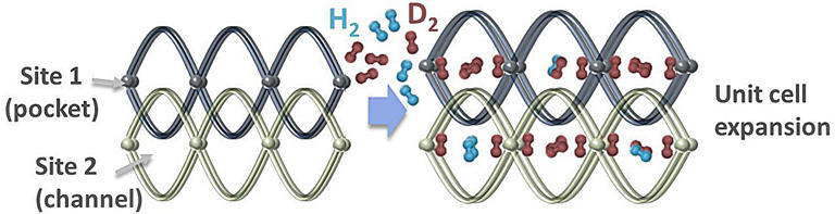 Researchers achieve record hydrogen isotope separation via isotopologue ...