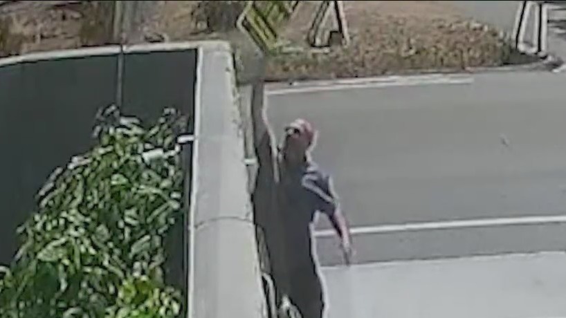 Security video shows theft of recall signs, neighbors point to ...