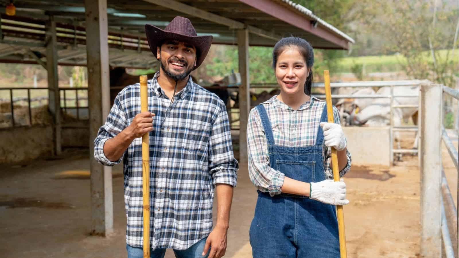 7 Common Homesteading Mistakes You Can Easily Avoid