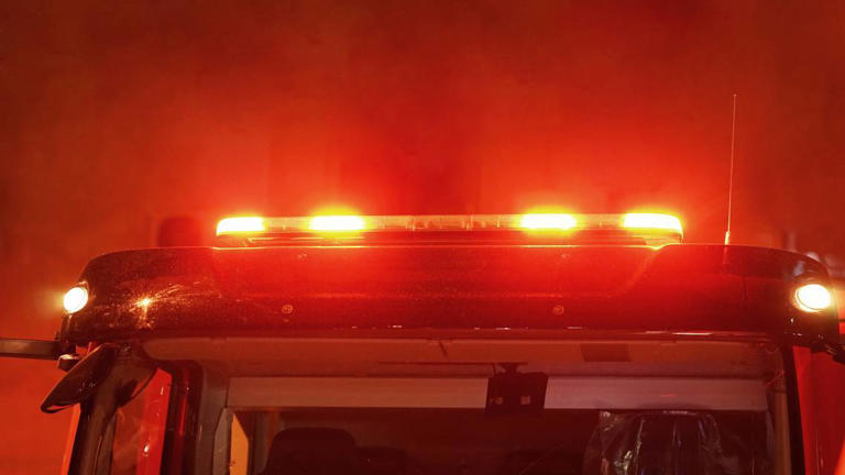 Hombre hospitalizado tras ser atacado por un tiburón en una playa de Hollywood, según las ...