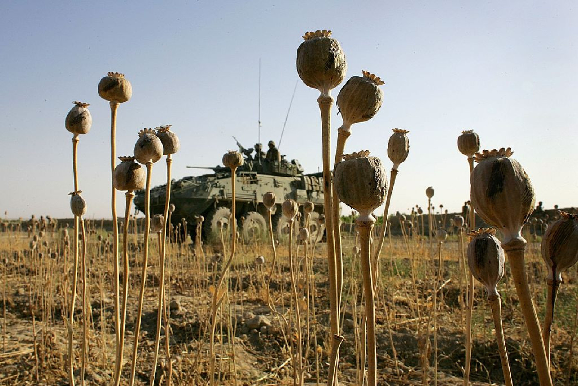 The use of drugs in warfare