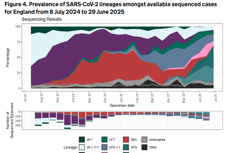 Expert verdict on summer Covid wave as new 'Stratus' variant spreads ...