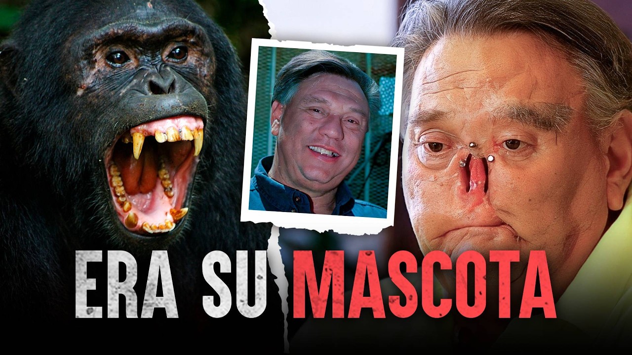 Los ataques de simios más aterradores y reales