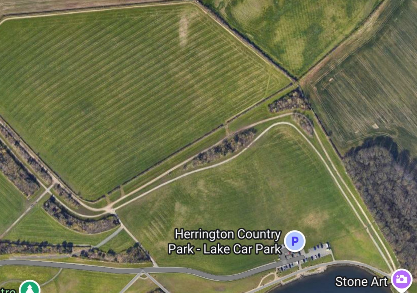Herrington Country Park to lose 100 metres of hedgerow to make way for ...