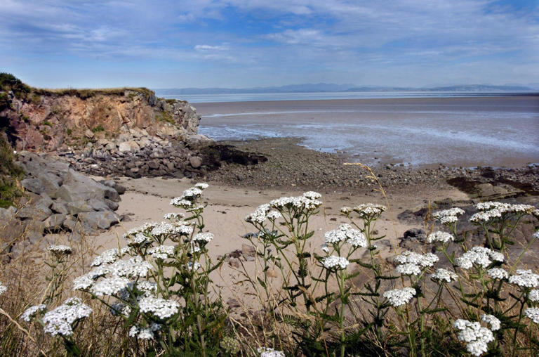Heysham's famous stone coffins take on new poignancy with death of Ozzy ...