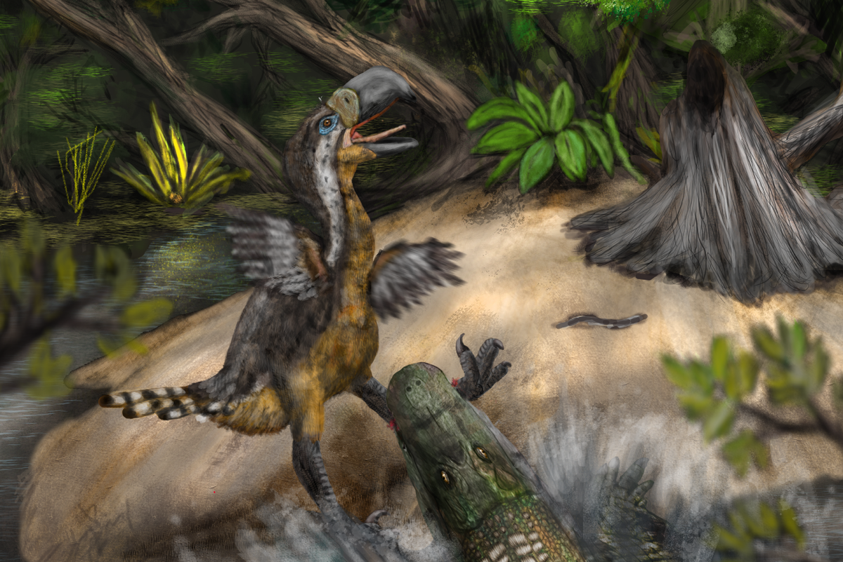 Teeth marks on fossil show ‘terror bird’ may have been killed in ...
