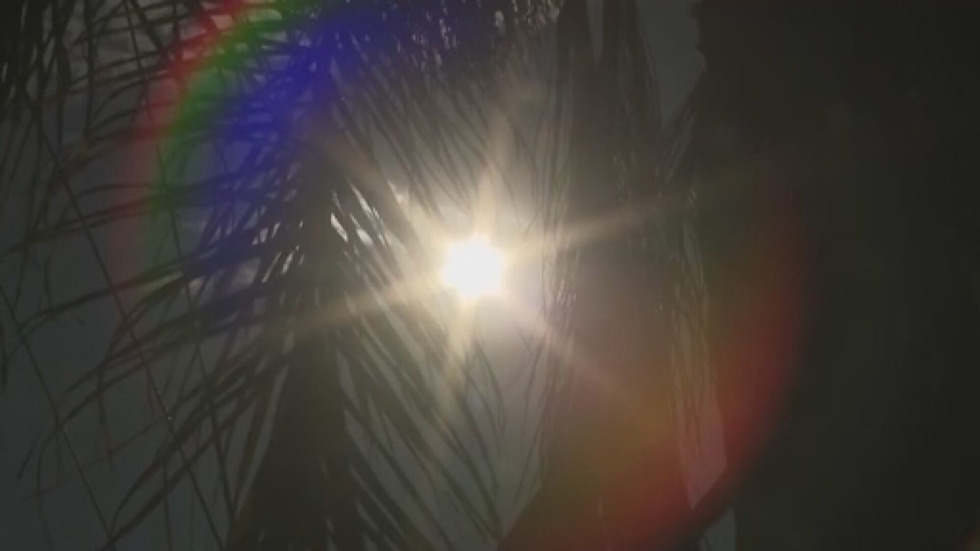 UV Safety Awareness Month: Steps to prevent skin cancer