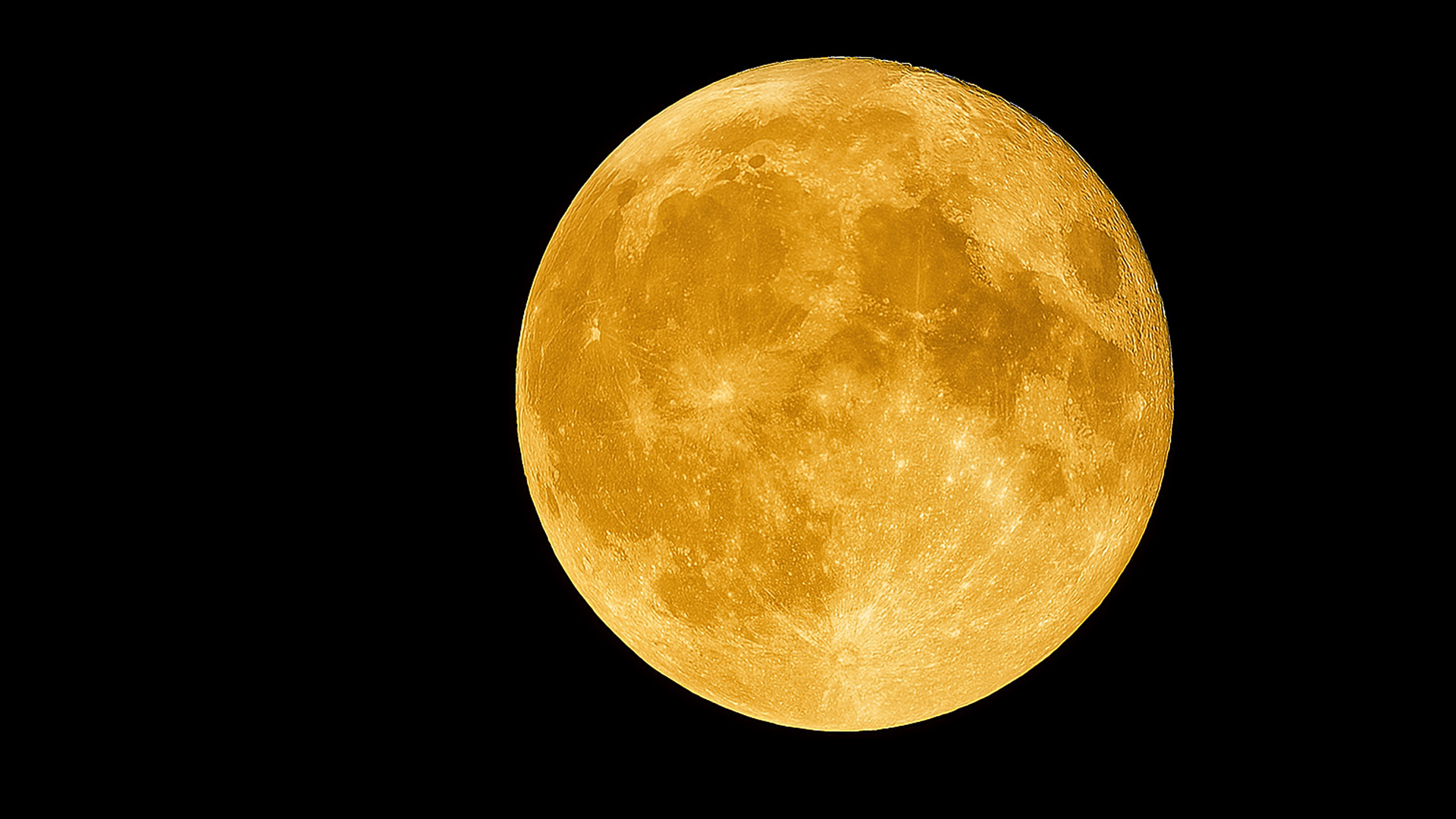 Training – This Is What the Red Fox Sounds Like at Night