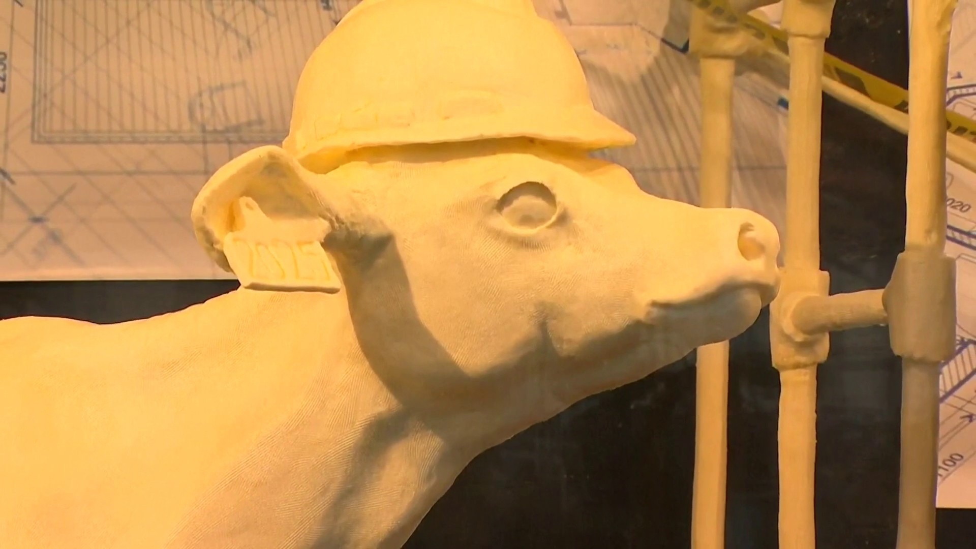 See the Butter Cow Unveiled at the 2025 Ohio State Fair