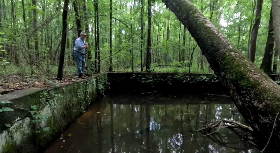How Nature Took Over This Forgotten Swimming Spot