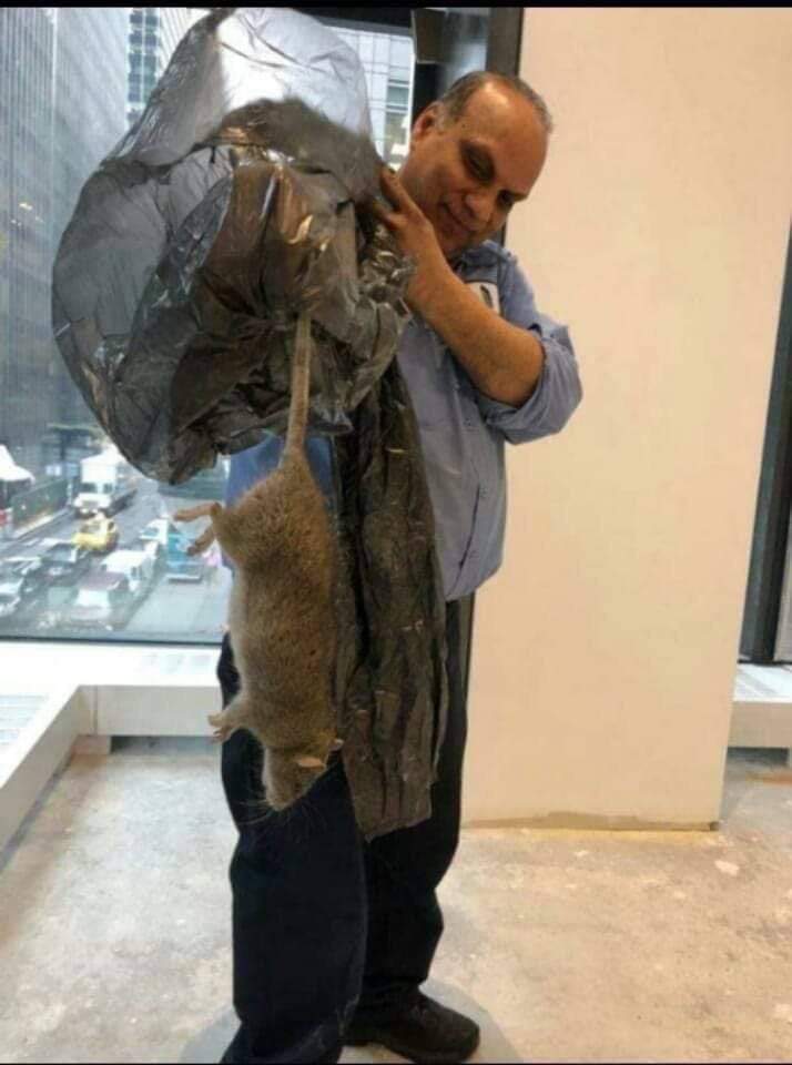 The Real Size Of 21 Things, With Humans For Scale
